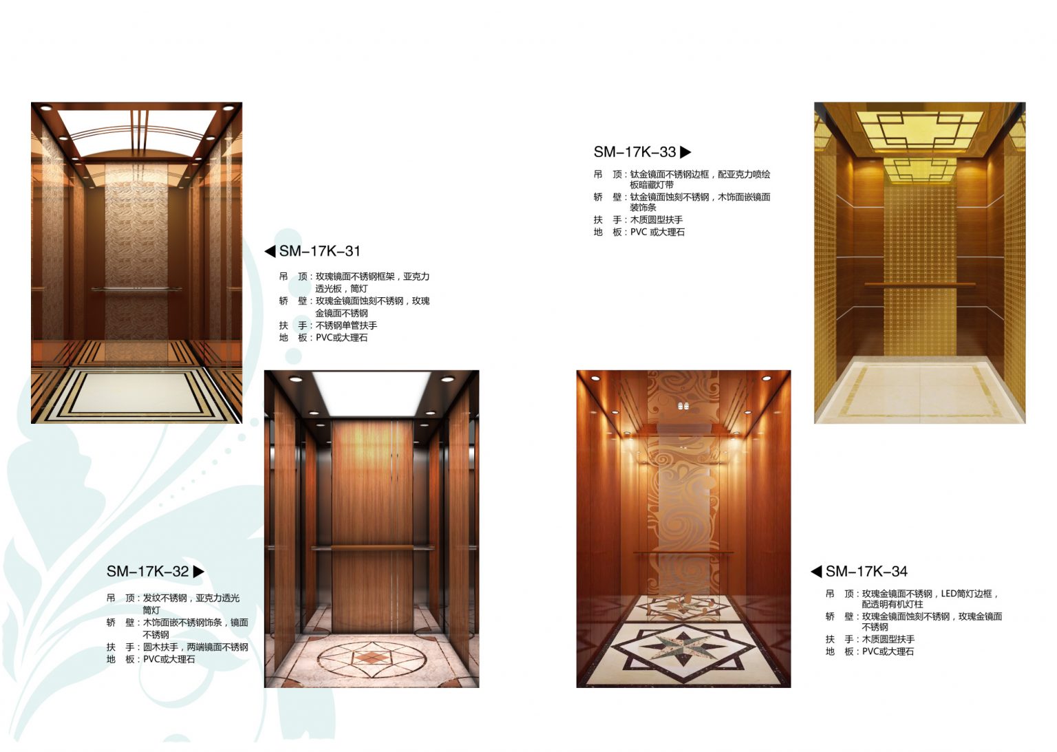 Canny exclusive cabin design elevator - SWIFT TECHNOLOGIES LIMITED